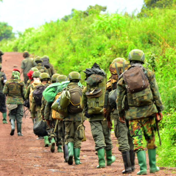 The remarkable clicks of African languages: Xhosa and Zulu in focus ...