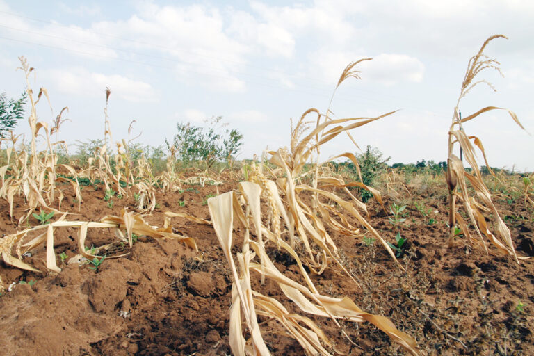 Zambia limits power as drought devastates agriculture