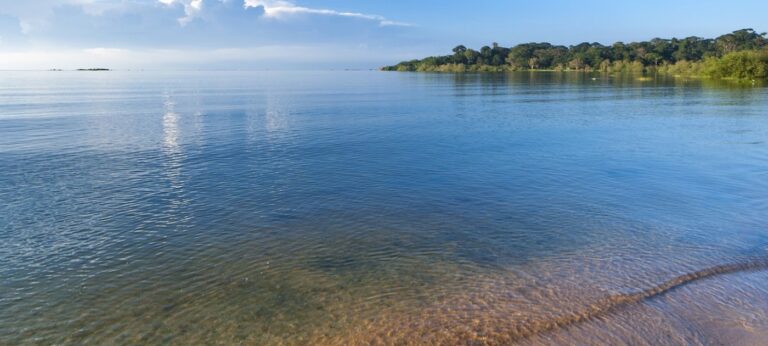 Lake Victoria: The largest in Africa - Radar Africa