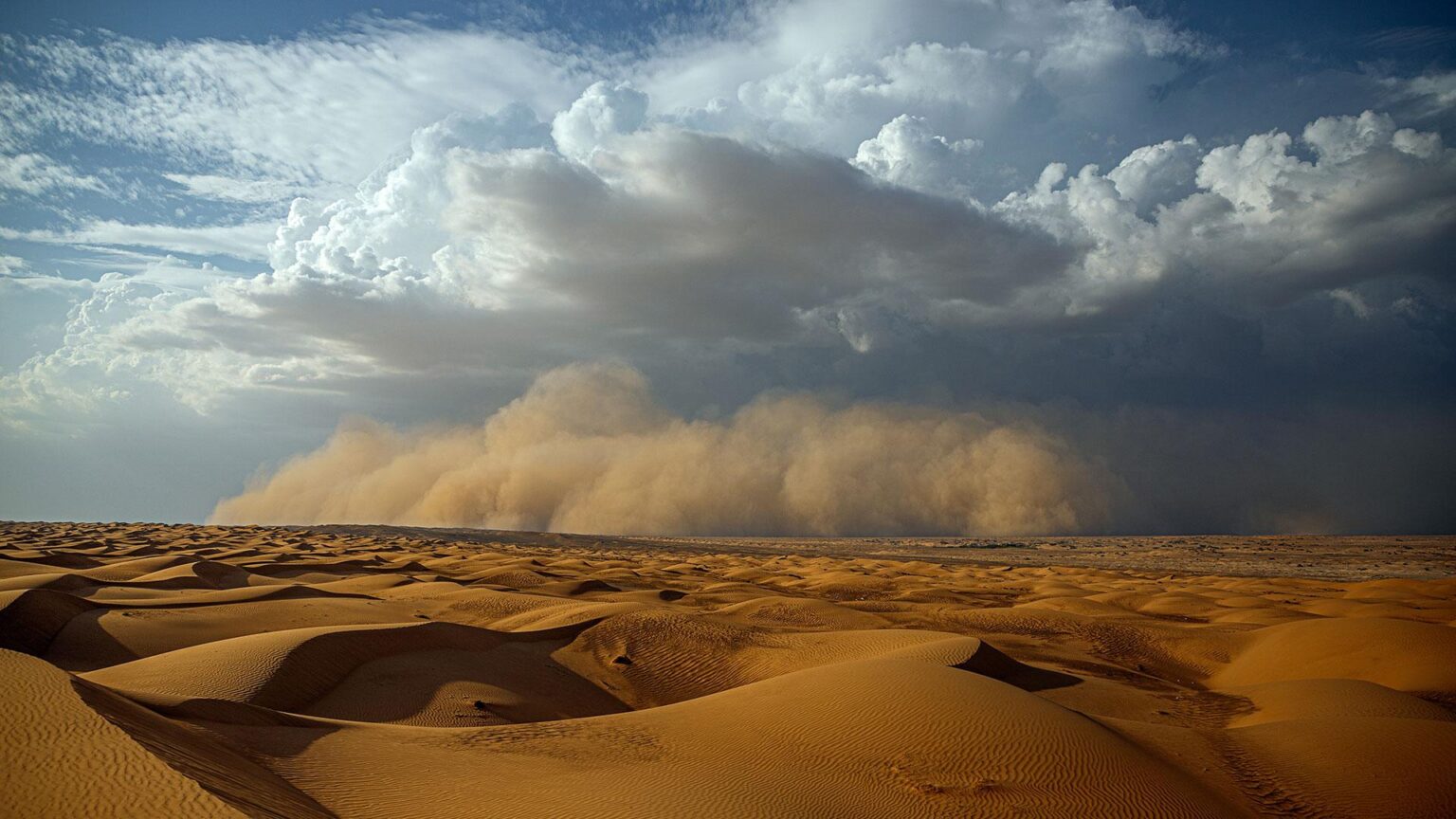 Sahara Desert dust enriches African and Amazonian ecosystems - Radar Africa