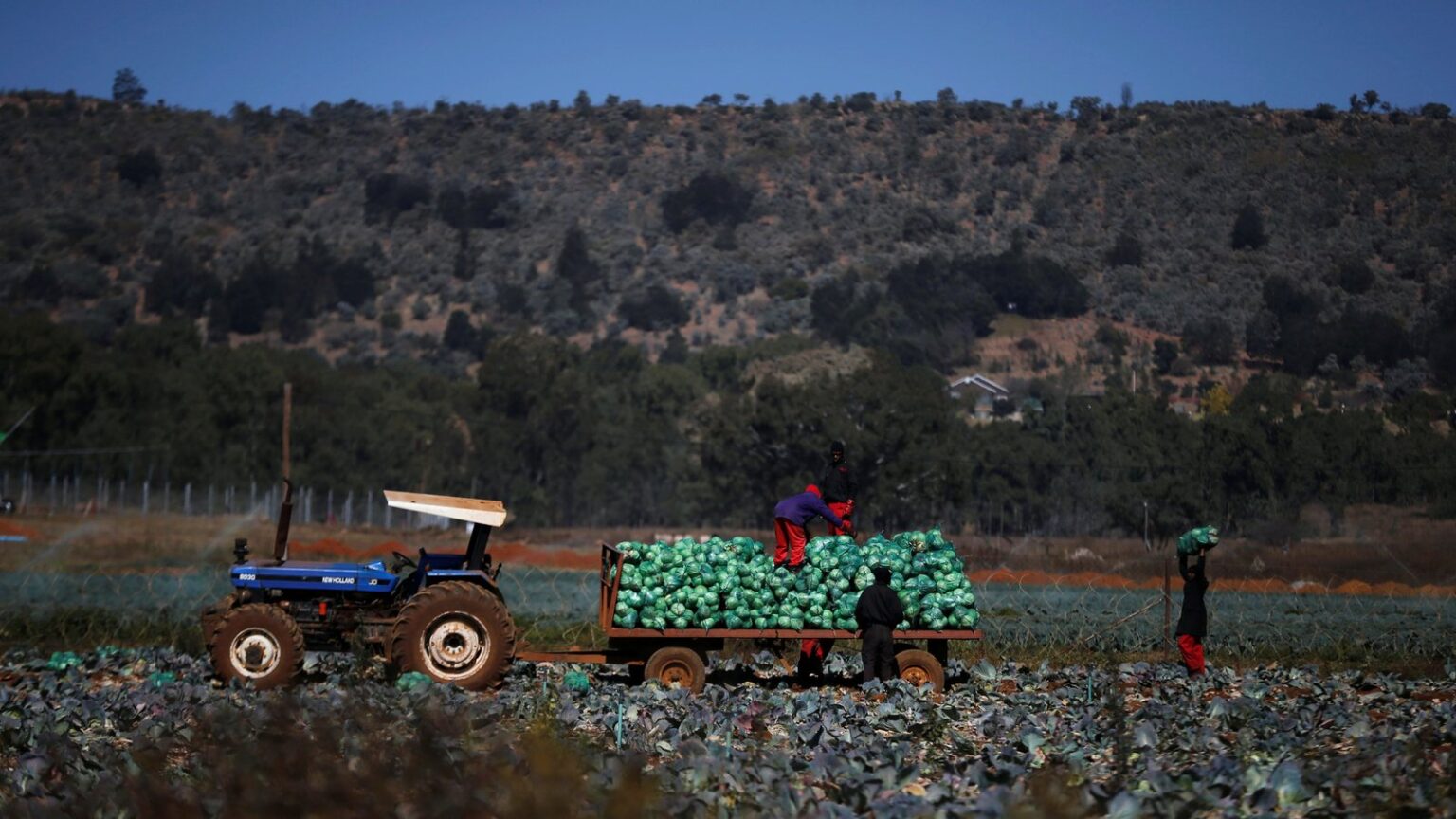 South Africa unity govt faces strain over land reform bill