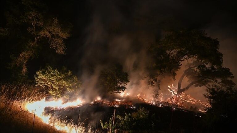 Fires in South Africa force evacuation of 200 homes - Radar Africa