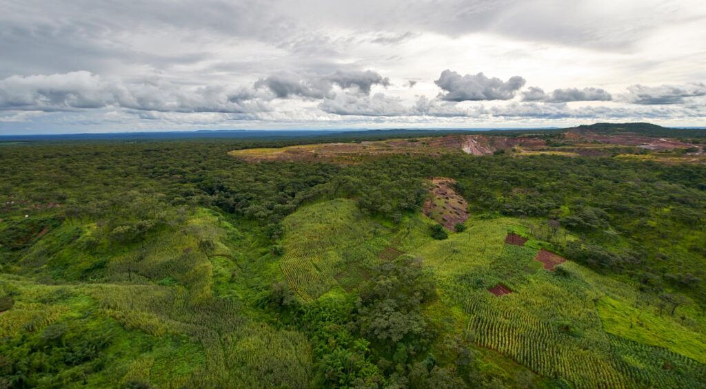 UN links Boss Mining to smuggled Congo minerals
