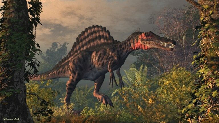 New Spinosaurus species discovered in Niger’s Sahara Desert - Radar Africa