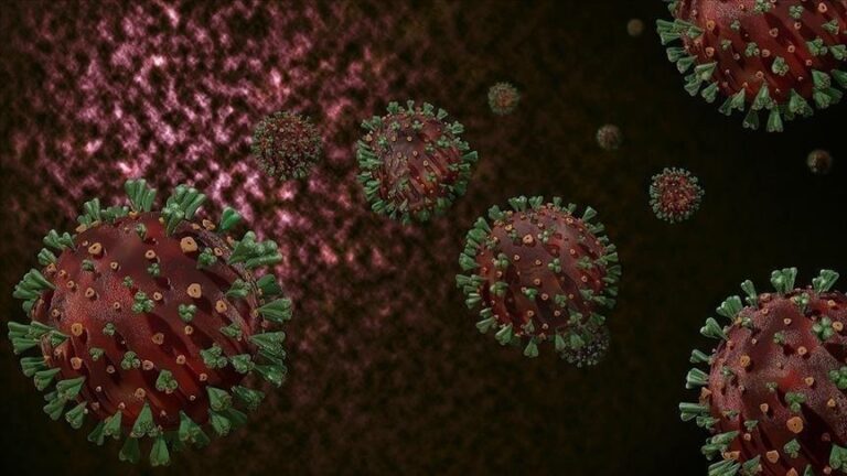 Madagascar records first mpox death as cases climb - Radar Africa